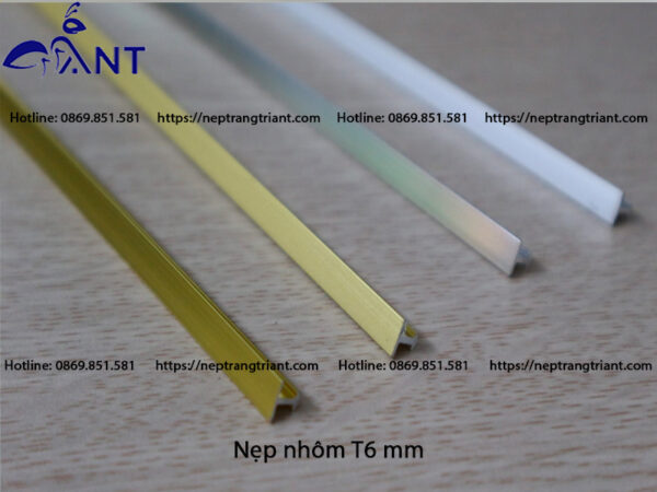 Nẹp nhôm T6 - Nẹp inox ANT